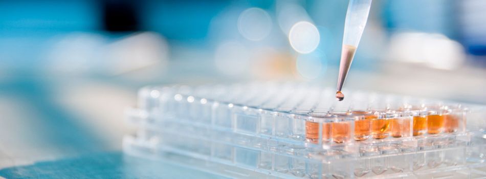 Lipomed Reference Materials | LGC Standards