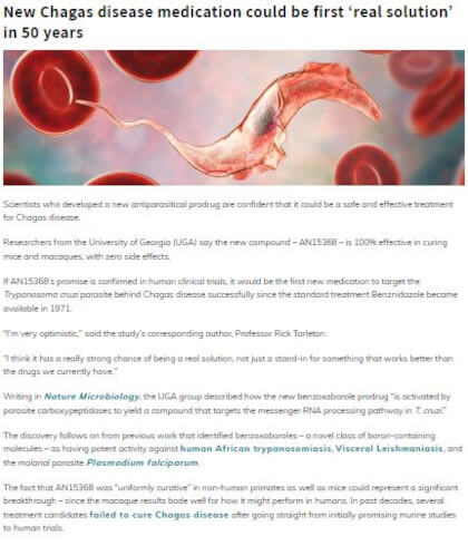 Infectious disease research tools | LGC Standards