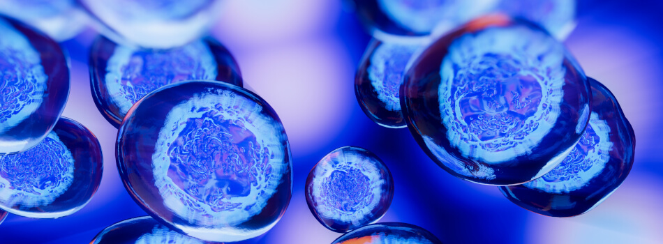 Infectious disease research tools | LGC Standards