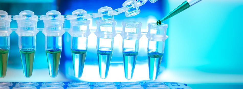Pharmaceutical Reference Standards Reference Materials | LGC Standards