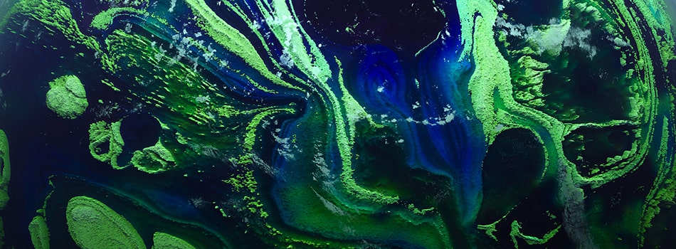 Proficiency Testing Programmes and PT Schemes | LGC Standards