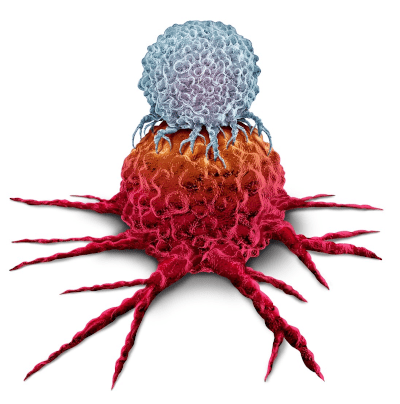 Immunomodulators as Therapeutic Agents | LGC Standards